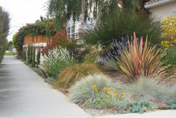 Our Work – Terra Nova Ecological Landscaping